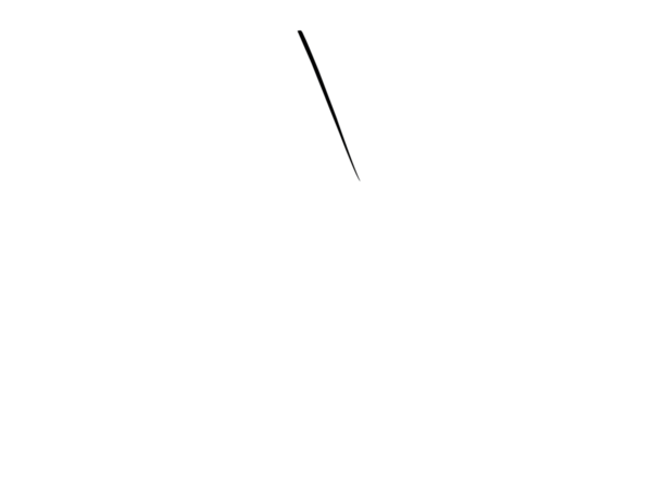 Tax Levy - Anthem Tax Services